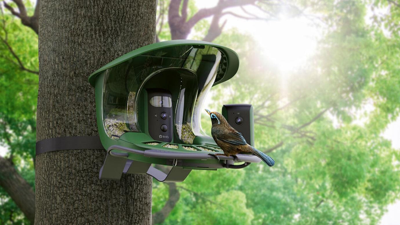 How to Make Your Garden More Bird-Friendly All Year Round